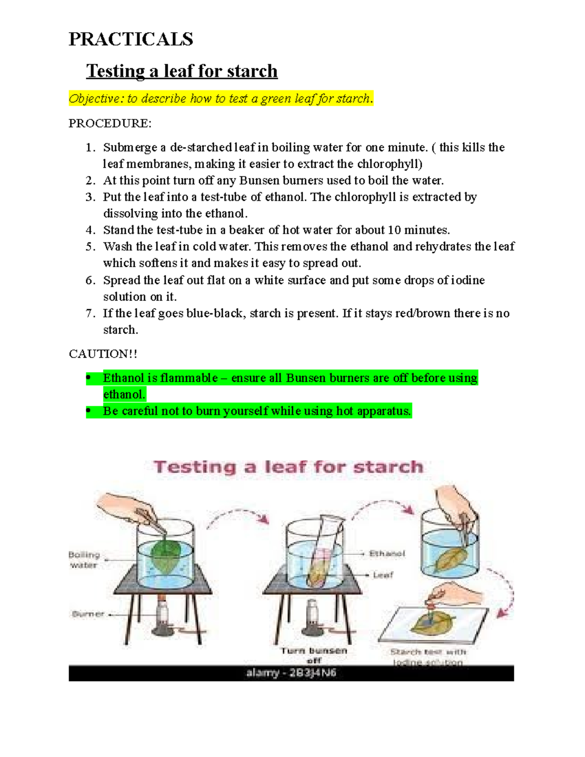 Chemistry Practicals: Testing a Leaf for Starch and Photosynthesis ...