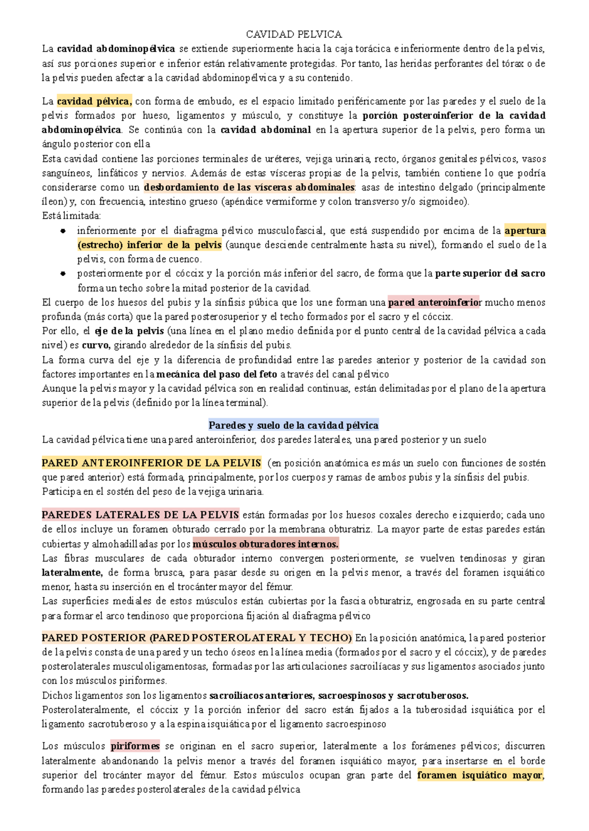 CAVIDAD PÉLVICA: Estructura y Funciones en la Anatomía Humana - Studocu
