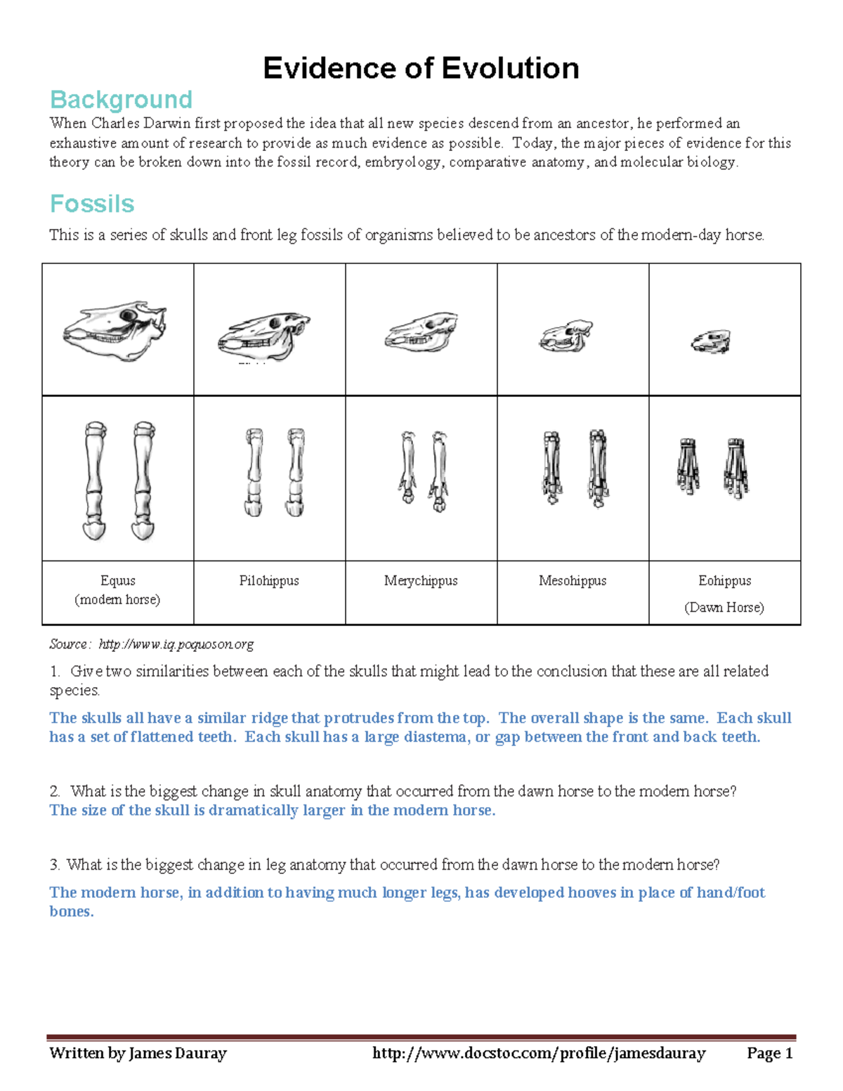 Evidence of Evolution Answer Key - Written by James Dauray docstoc ...