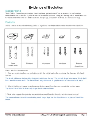 Evidence of Evolution Answer Key - Written by James Dauray docstoc ...