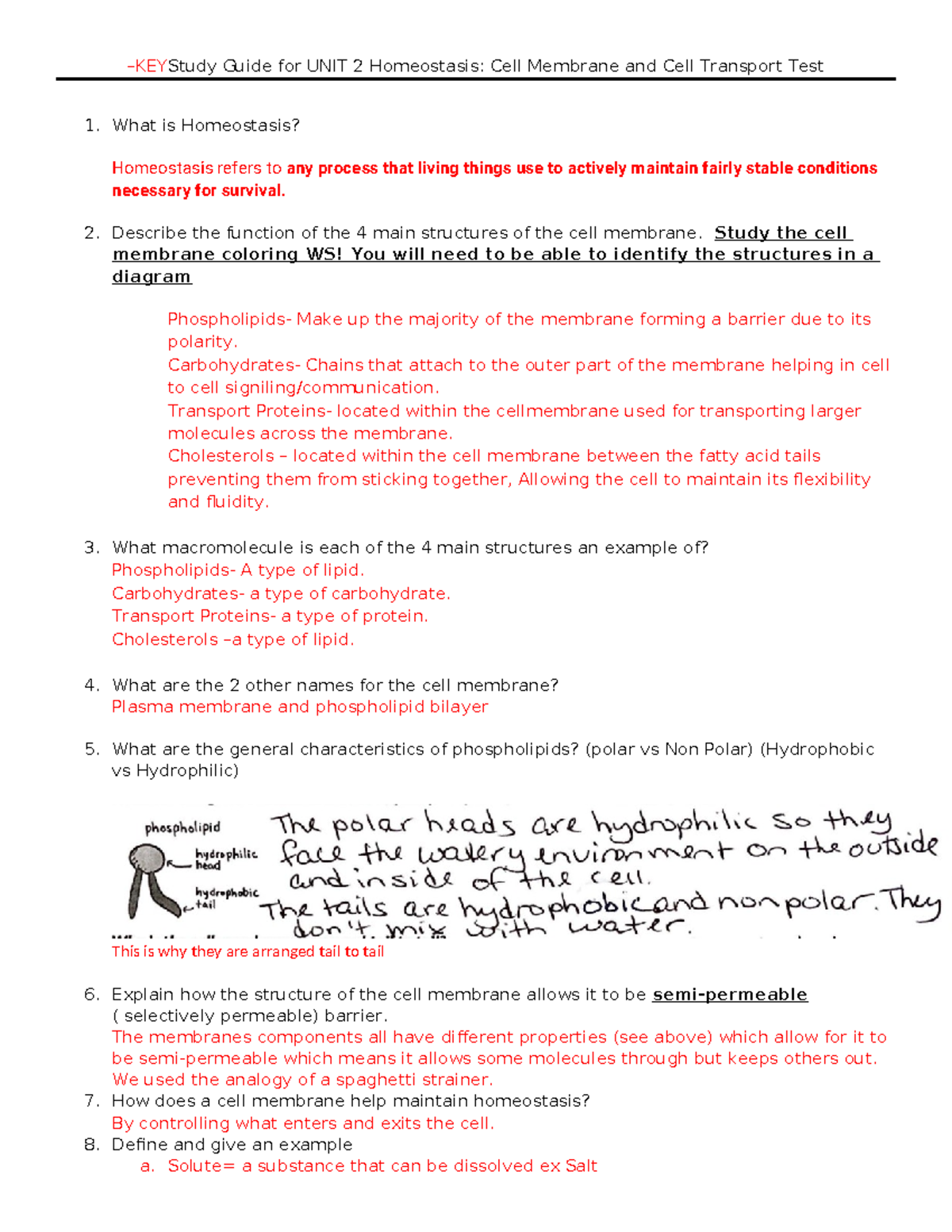 Study Guide for UNIT 2: Homeostasis, Cell Membrane & Transport Test ...