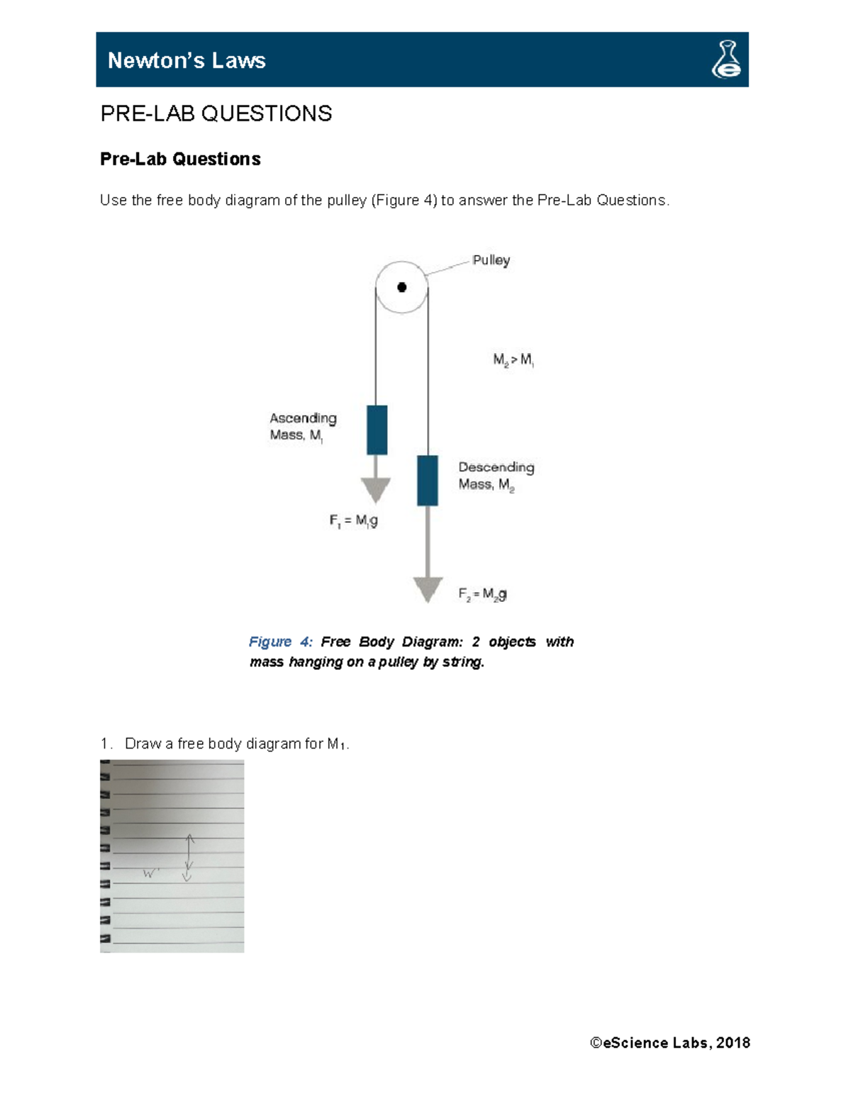 Lab 8 - Newton's Laws Experiment: Understanding Forces and Motion - Studocu