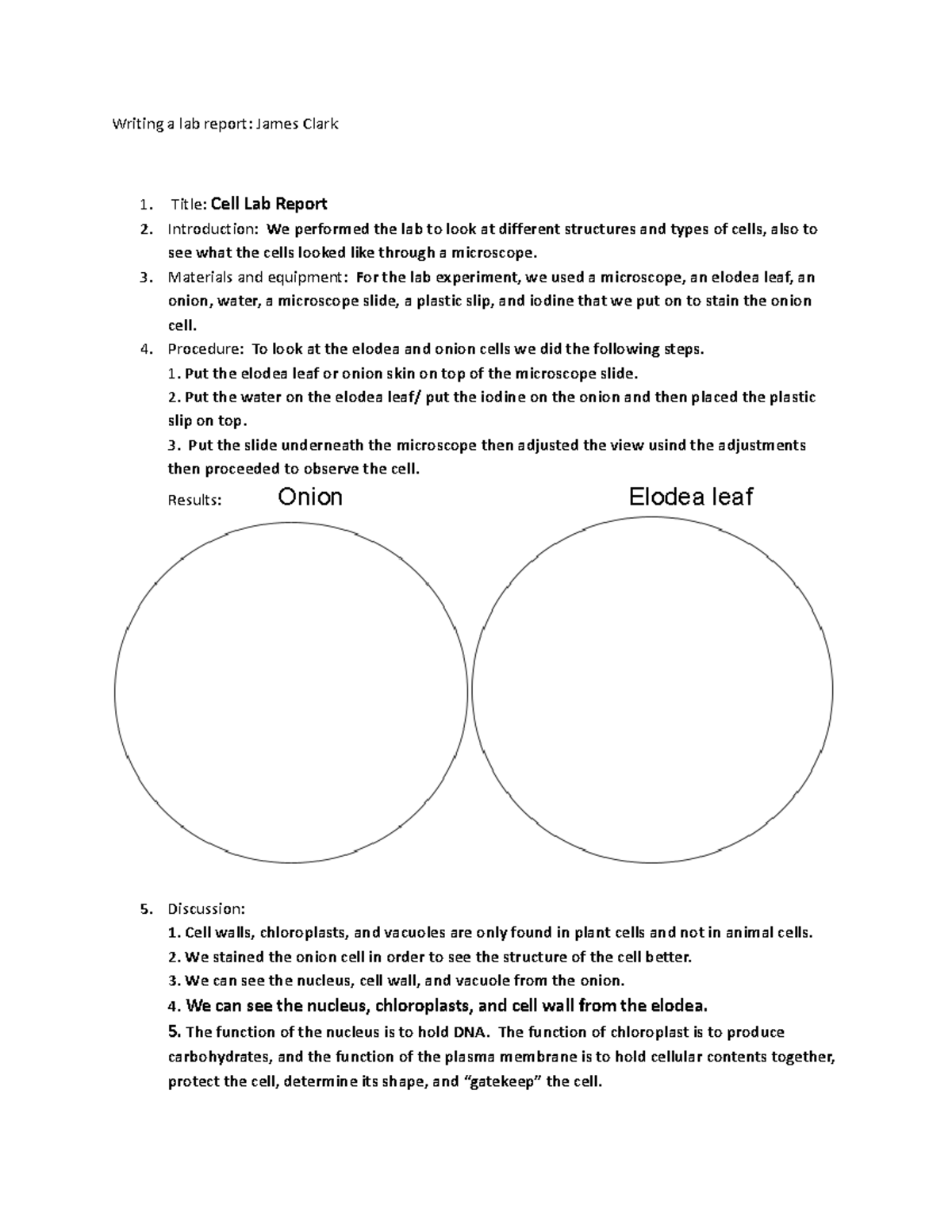 BIO101: Final Lab Report on Cell Structure and Observations - Studocu