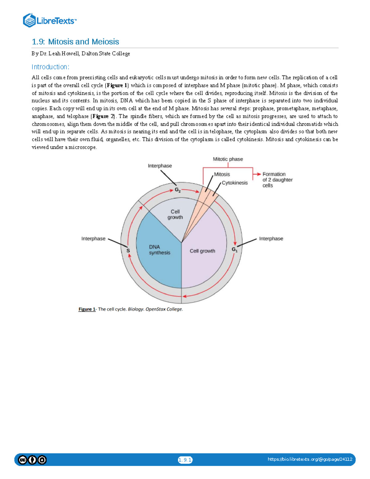 1 - cell biology mitosis and meiosis lab manual - 1: Mitosis and ...