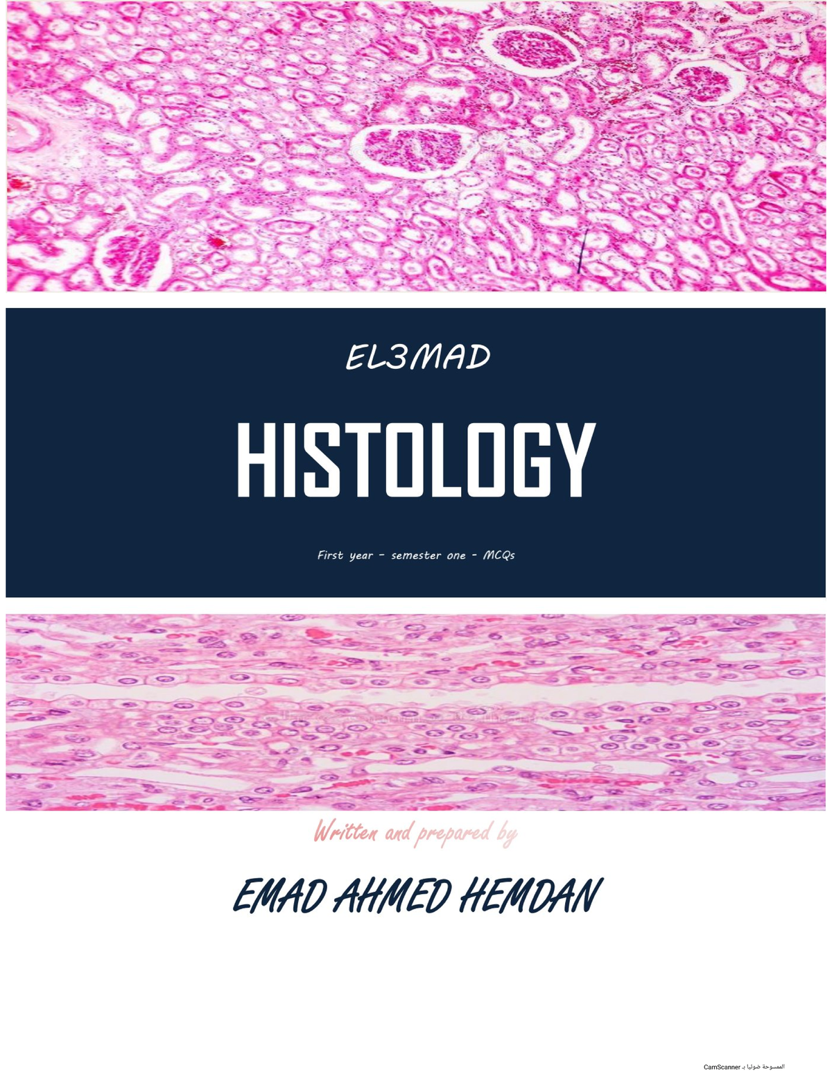 Histology MCQ Practice Questions for 1ST Connective Tissue - Studocu