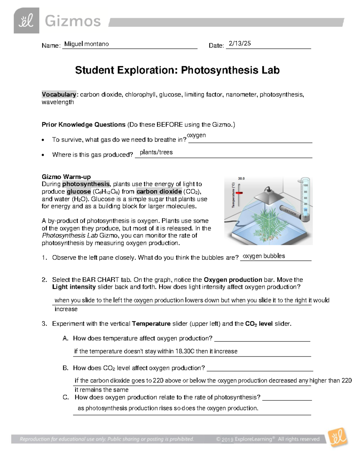 - Photosynthesis Lab SE (1).docx - Name ...