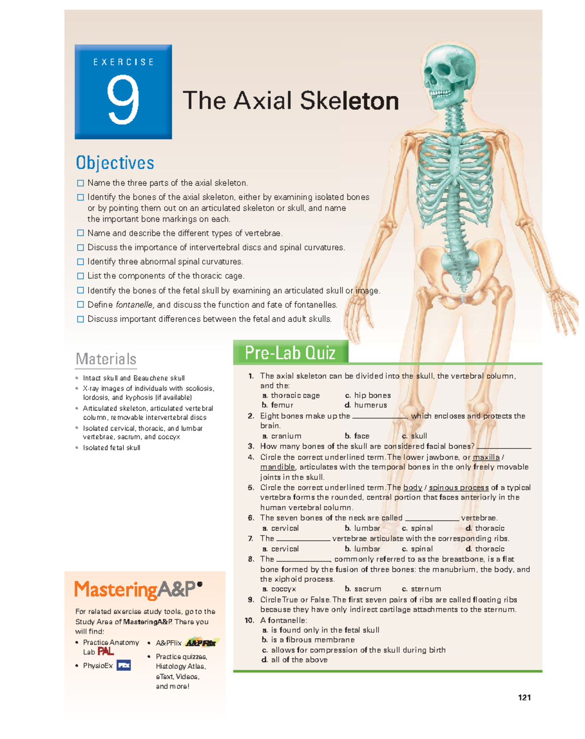 Axial Skeleton Overview: Key Concepts and Bone Identification - Studocu