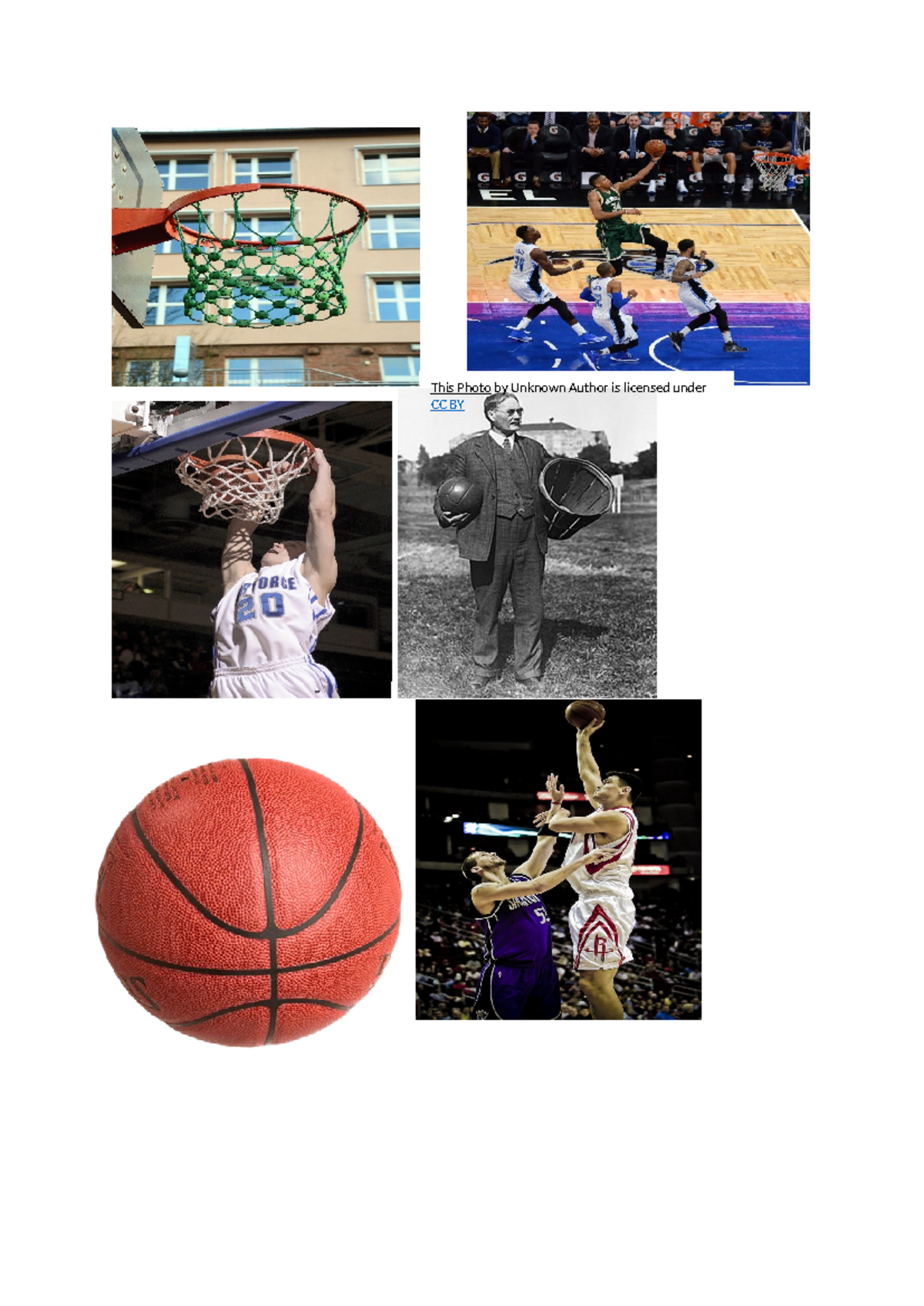 PE Basketball Game Print - Biology SL - This Photo by Unknown Author is ...