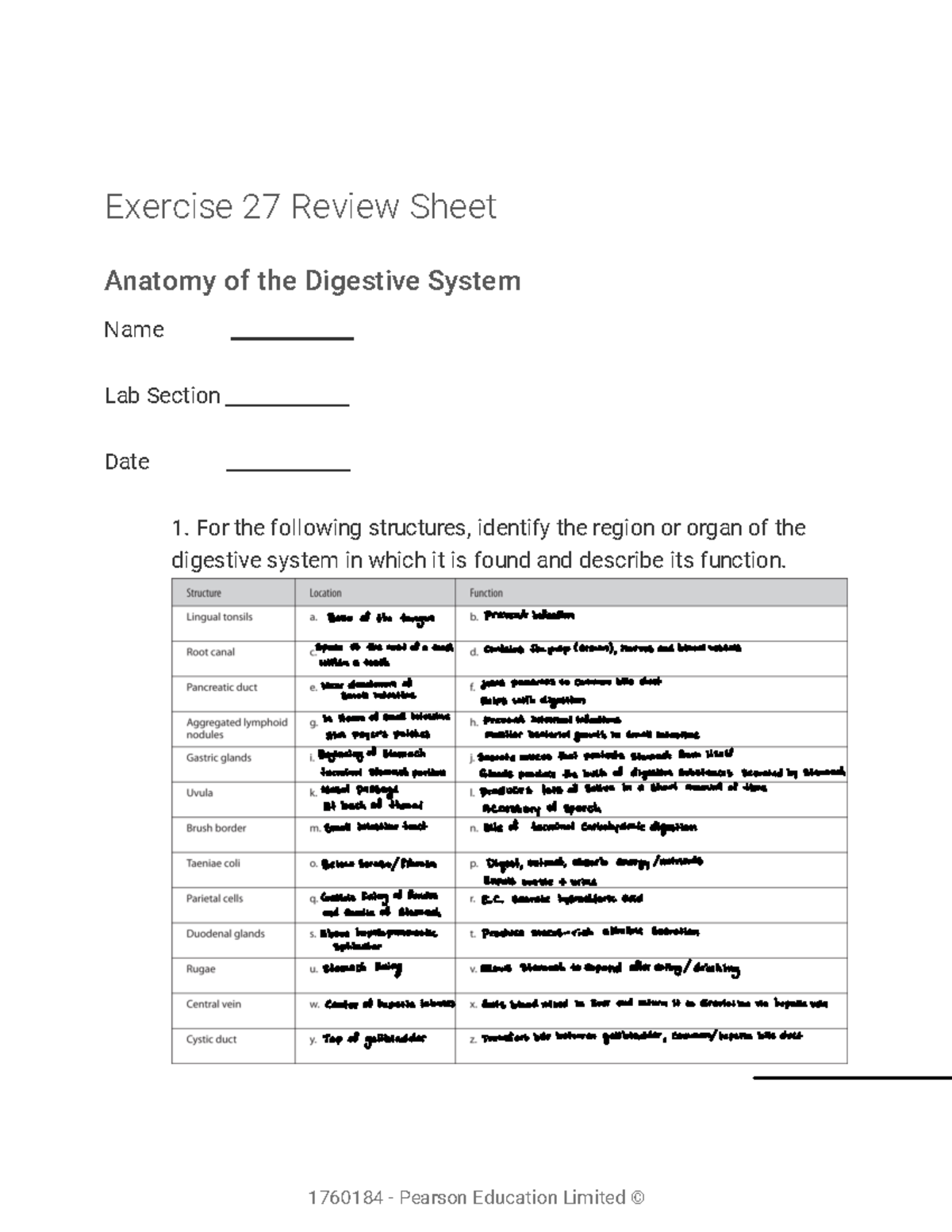 Chapter 27 - Lab Assignment on Digestive System Anatomy and Functions ...