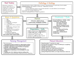 BPH concept map fall 2020 - PMH that Relates to Admitting Diagnoses ...