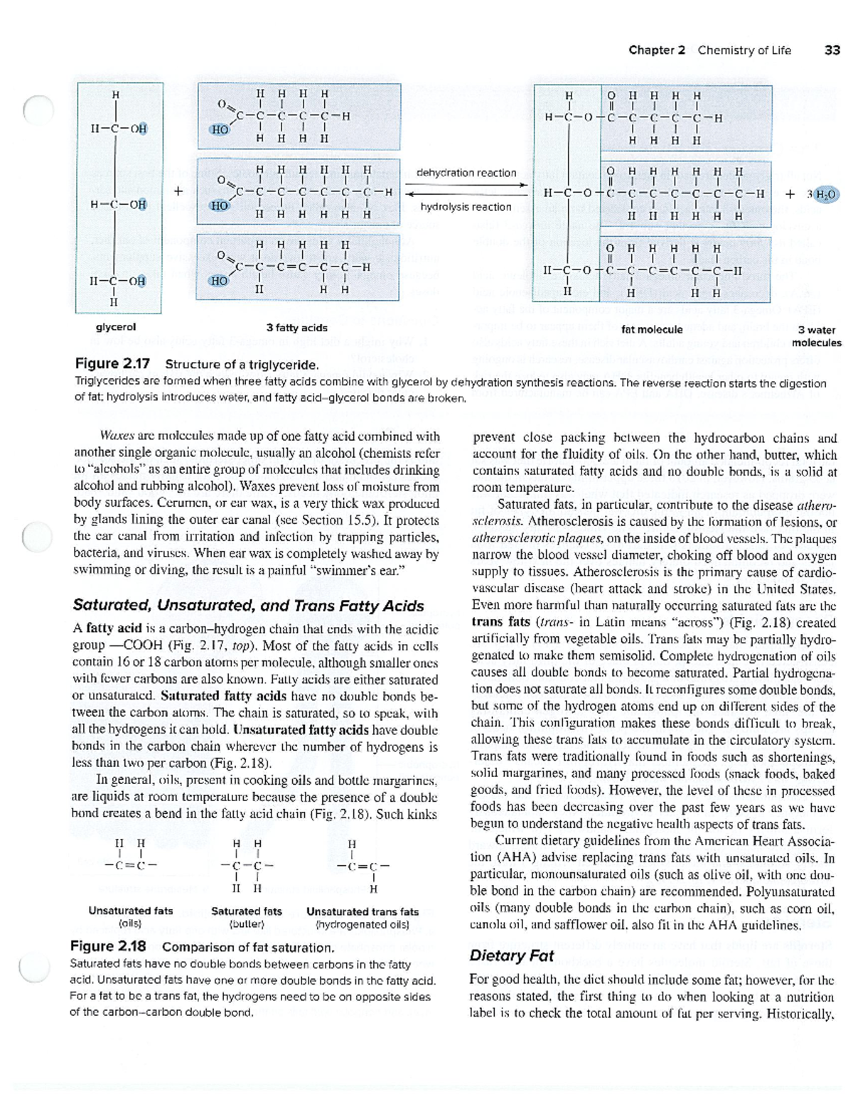 Final Exam Study Guide: Chapter 2 - Chemistry of Life (XYZ 101) - Studocu
