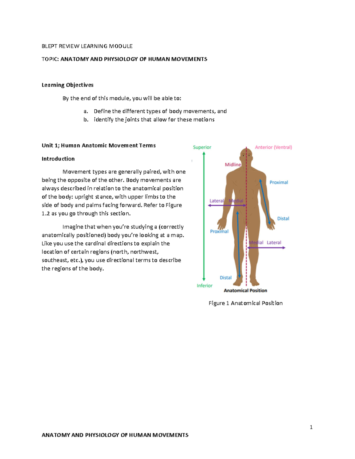 BLEPT 2023: Anatomy & Physiology of Human Movement Module - Studocu