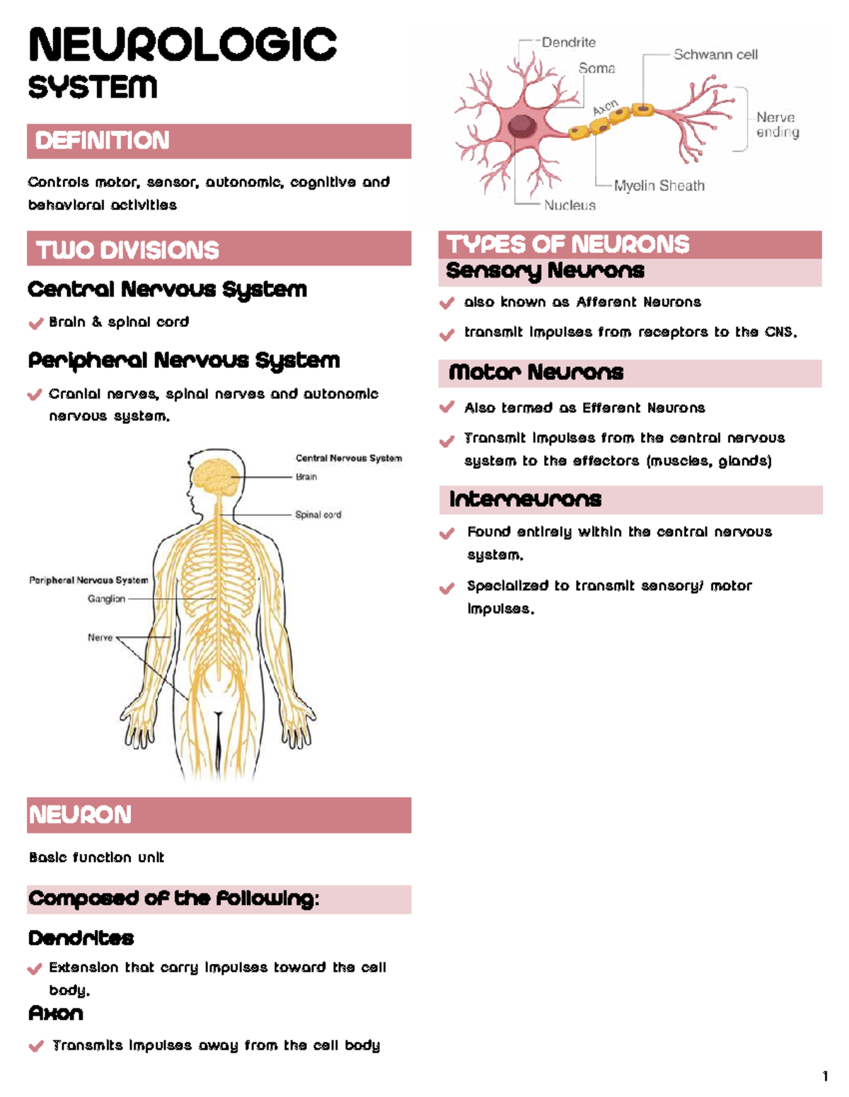 MS Neuro - Neurologic System Overview and Assessment Notes - Studocu