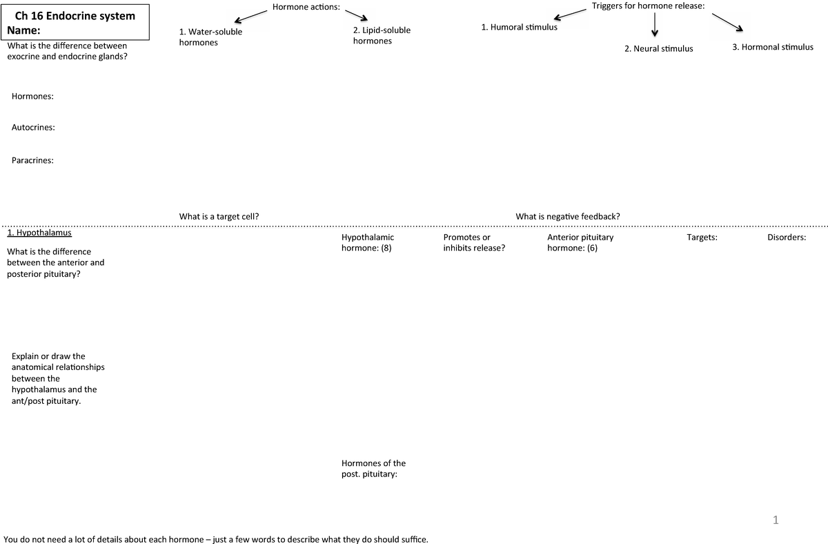 SM Ch 16 - Endocrine System Overview and Hormone Functions - Studocu