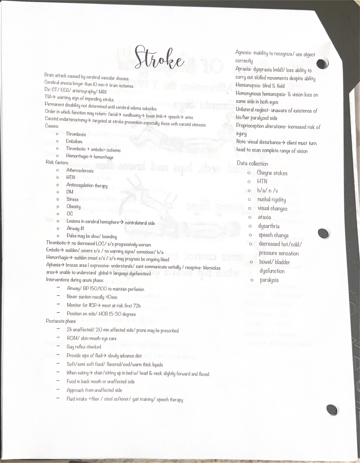 Stroke Study Guide: Understanding Cerebral Vascular Disease ...