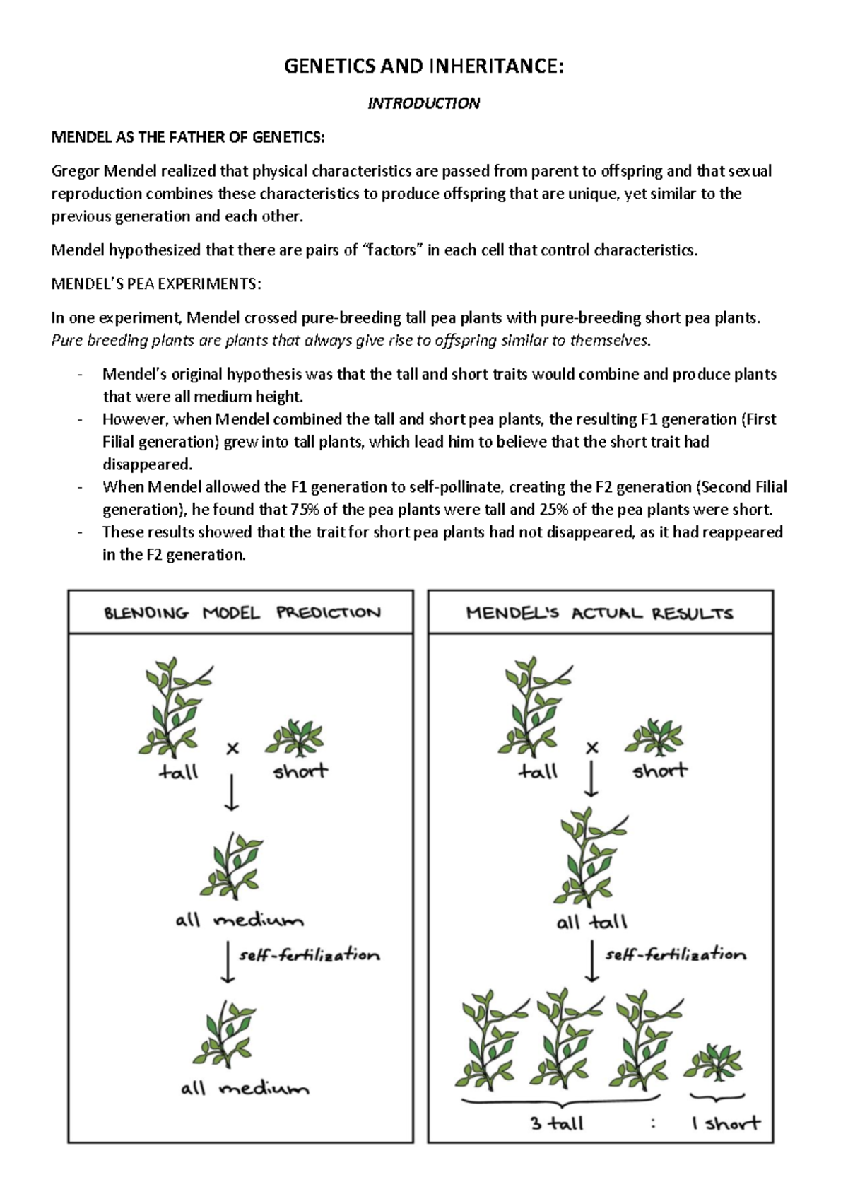 GENETICS AND INHERITANCE: A GRADE 12 LIFE ORIENTATION GUIDE - Studocu