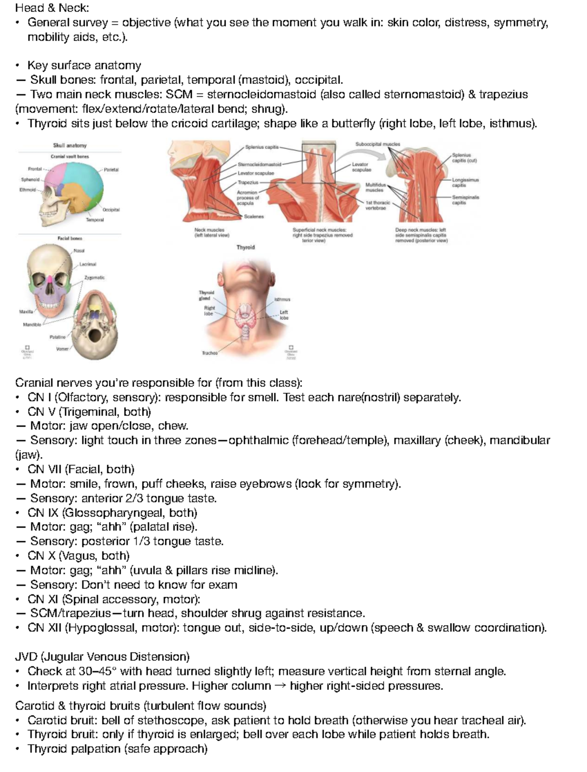 NUR 101: Head and Neck Physical Exam Notes for Nursing Students - Studocu