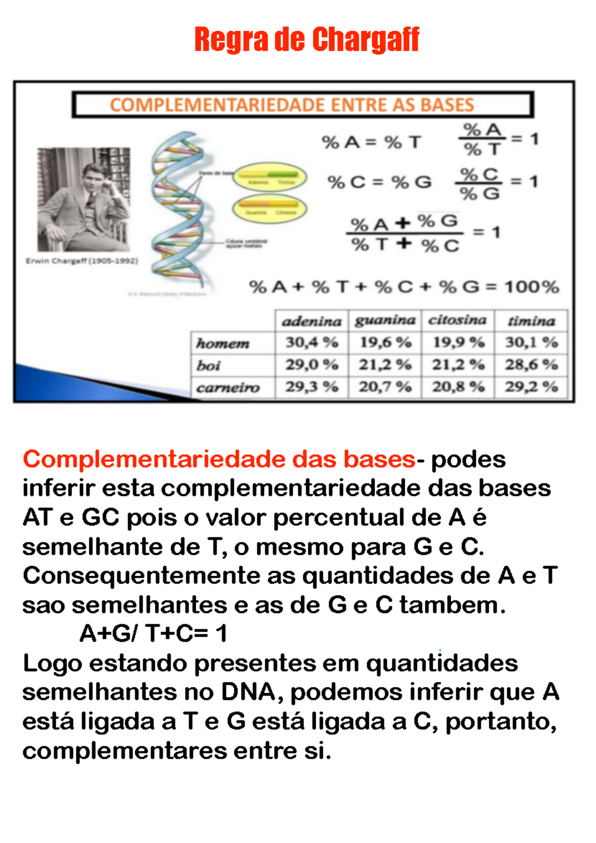 Regra de Chargaff - Regra de Chargaff Complementariedade das bases ...