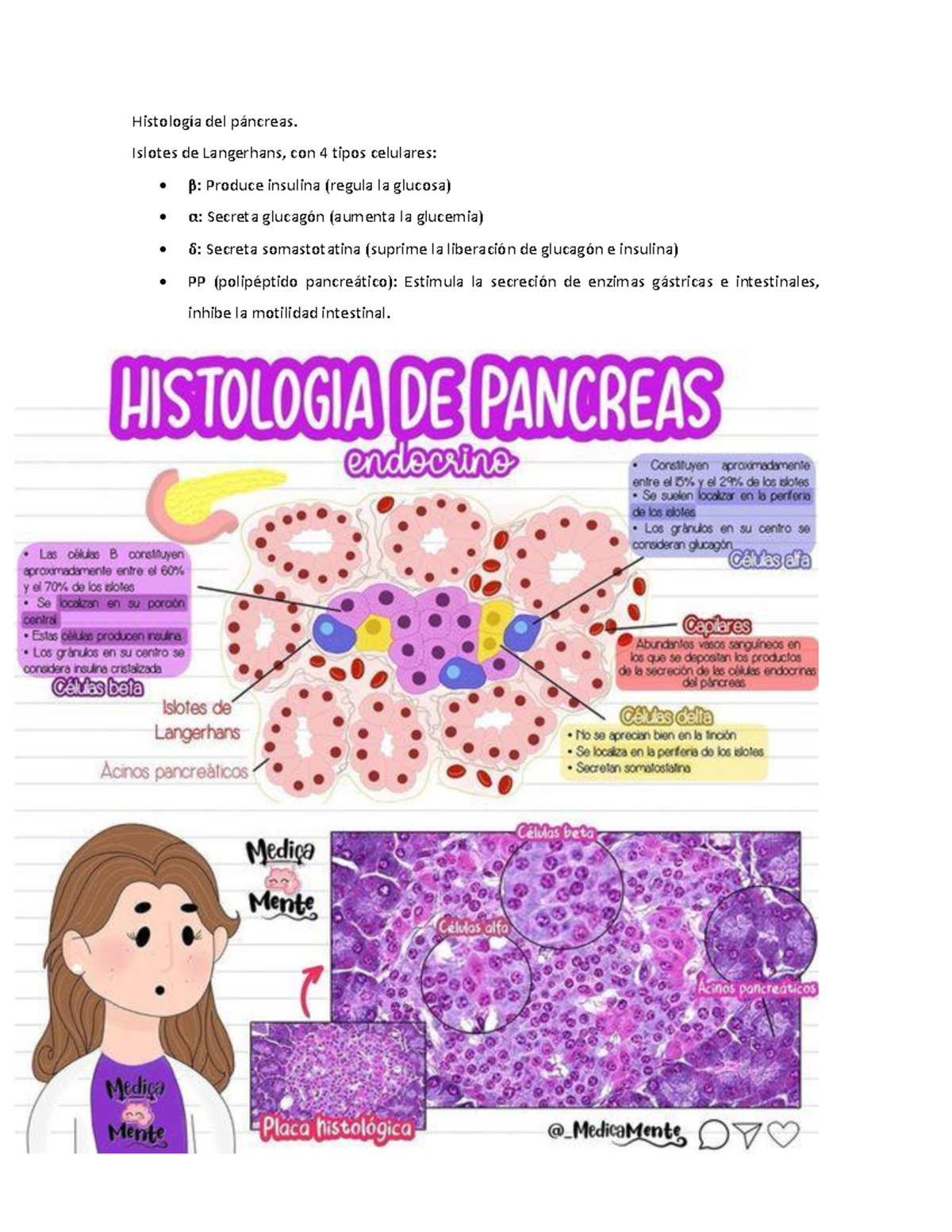 Resumen de Diabetes Mellitus y Patología del Páncreas - Robbins - Studocu