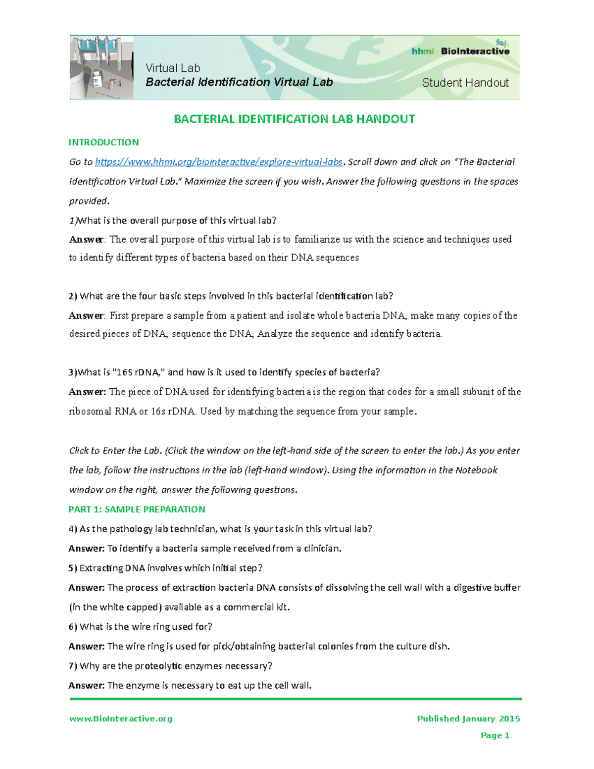 Bacterial-Identification-Lab-Worksheet-Student copy (8) - Student ...