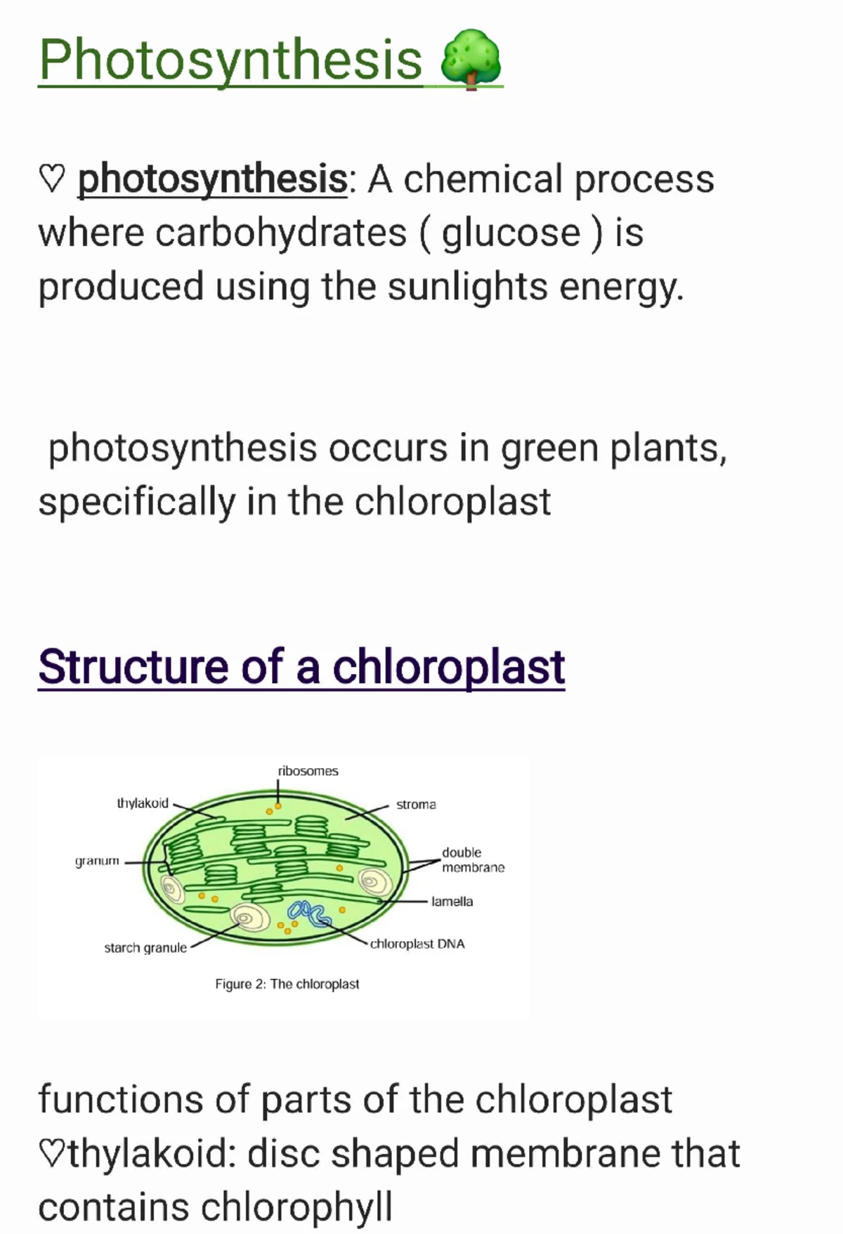 LIFE ORIENTATION GRADE 11 TERM 1 & 2 REVISION NOTES - Studocu