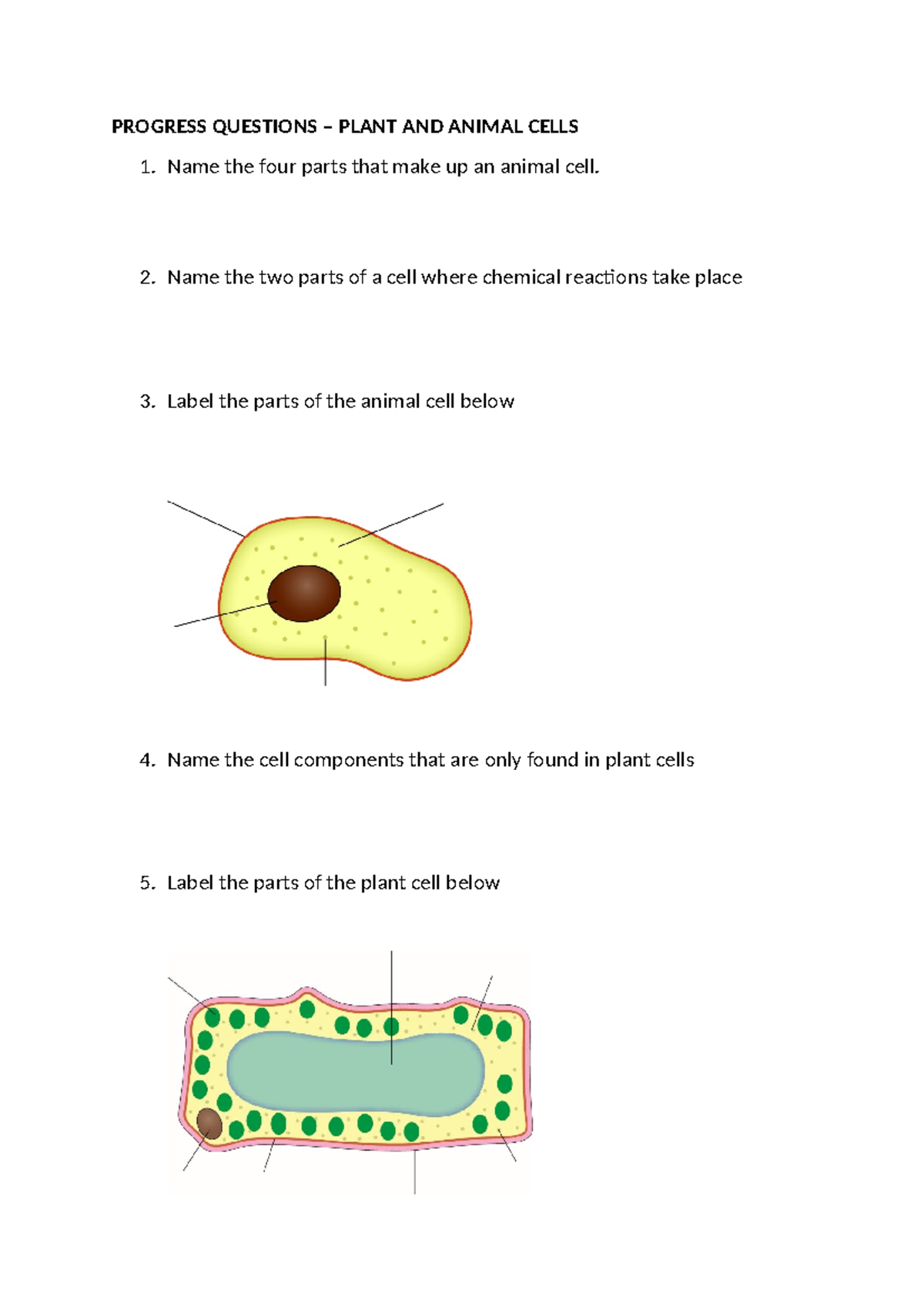 Progress Questions - plant and animal cell - PROGRESS QUESTIONS – PLANT ...