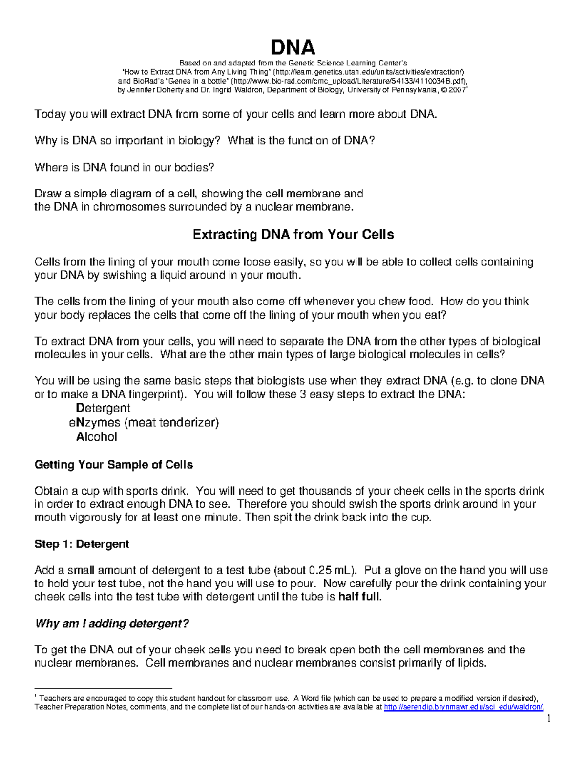 DNA Extraction Lab Activity: A Hands-On Approach to Understanding DNA ...
