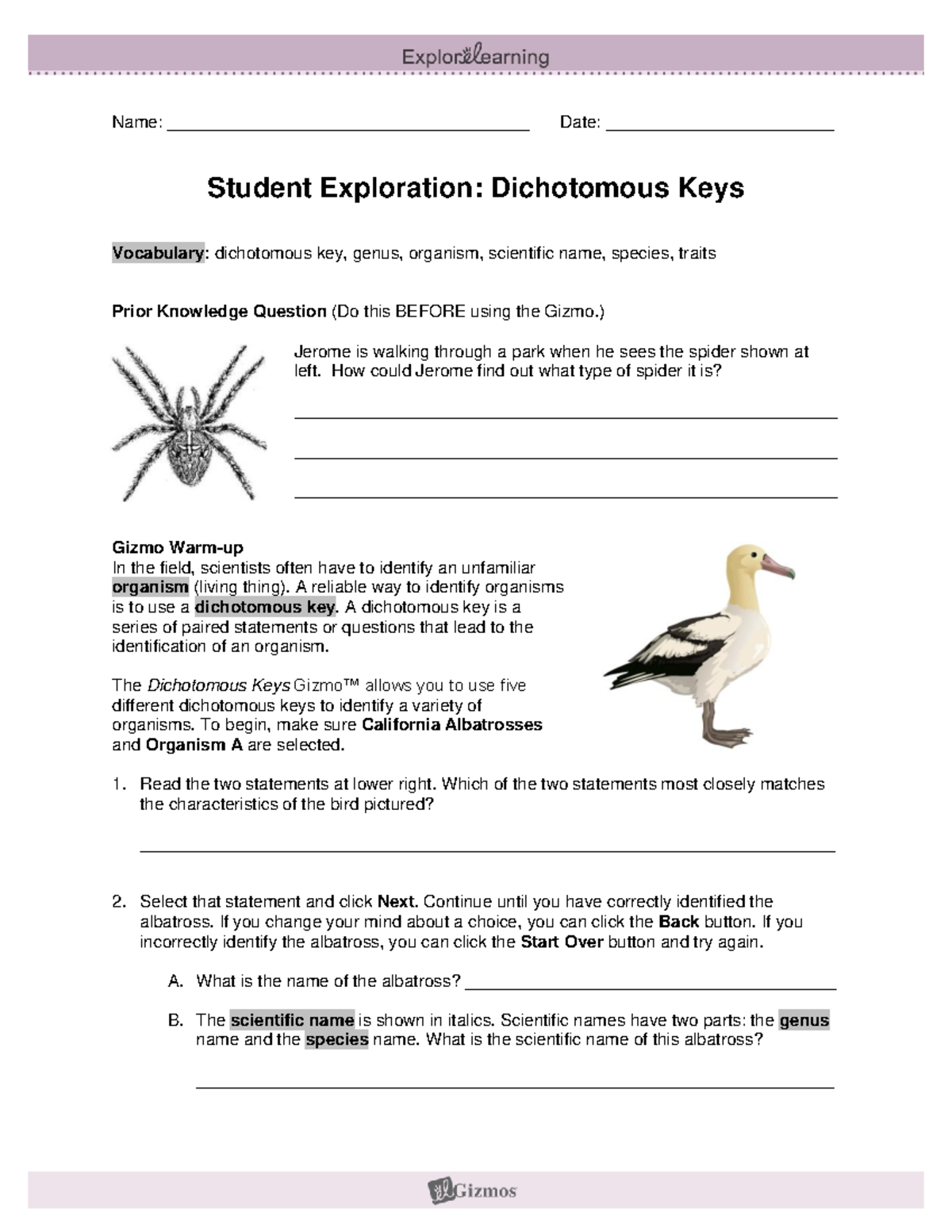Dichotomous Keys Exploration: Student Worksheet for Bio 101 - Studocu