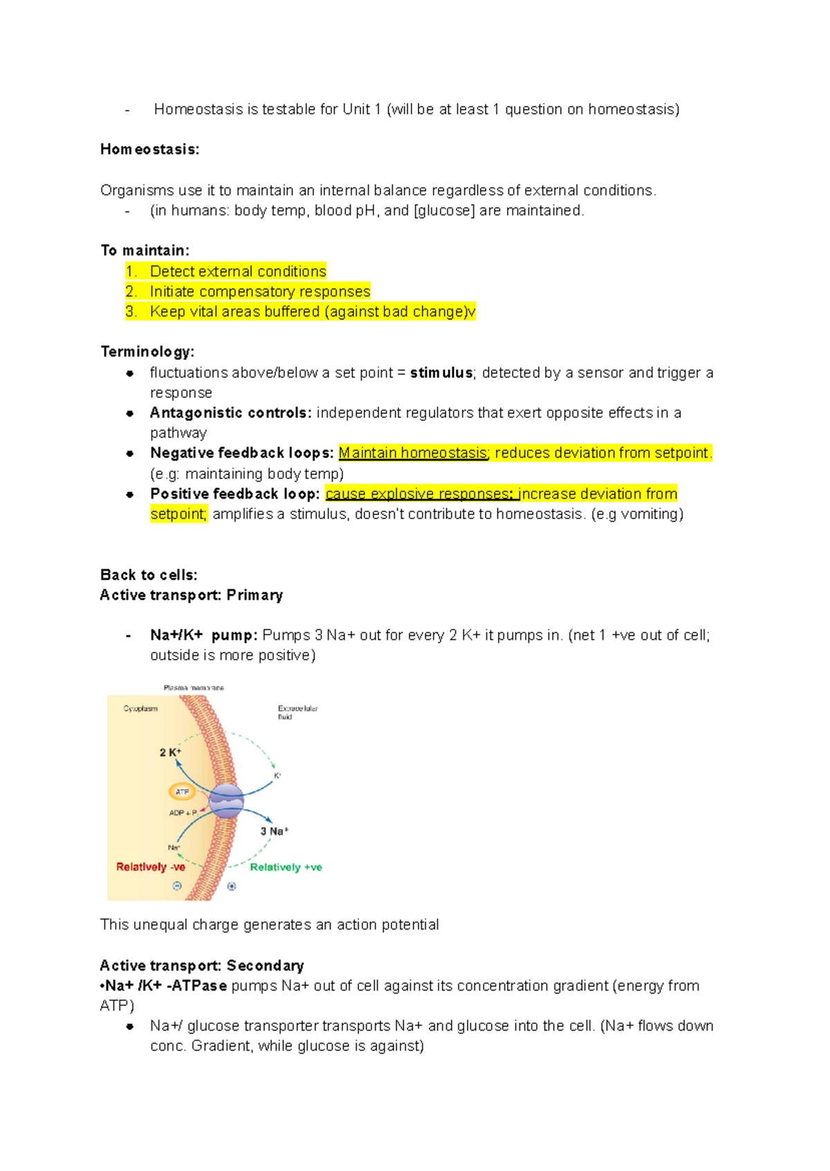 BIOL3060 Lecture 2 & 3 Notes on Homeostasis & Cell Signaling - Studocu