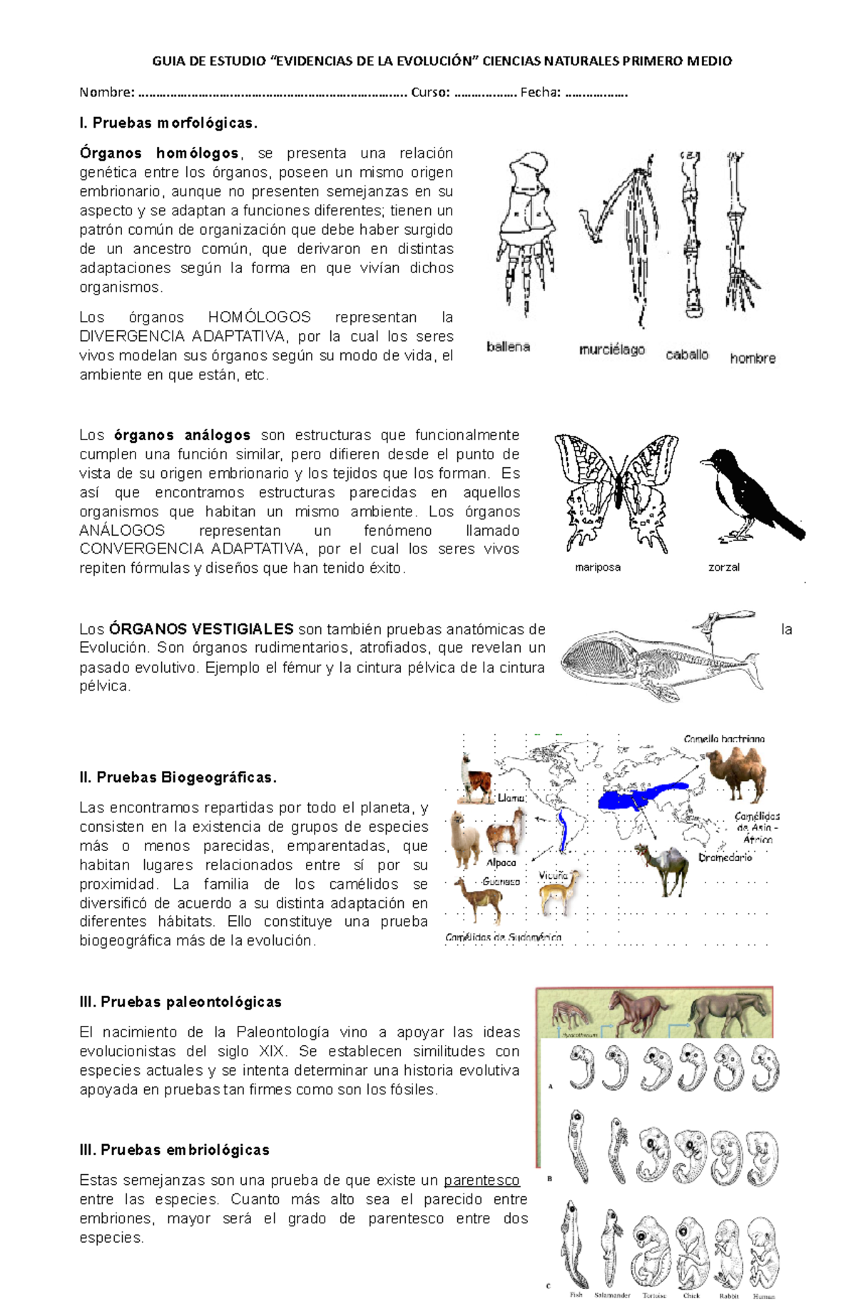 Clase 2 guia evidencias evolución - GUIA DE ESTUDIO “EVIDENCIAS DE LA ...