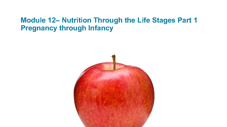 Nutrition Through the Life Stages: Pregnancy & Infancy Guide (Module 12 ...