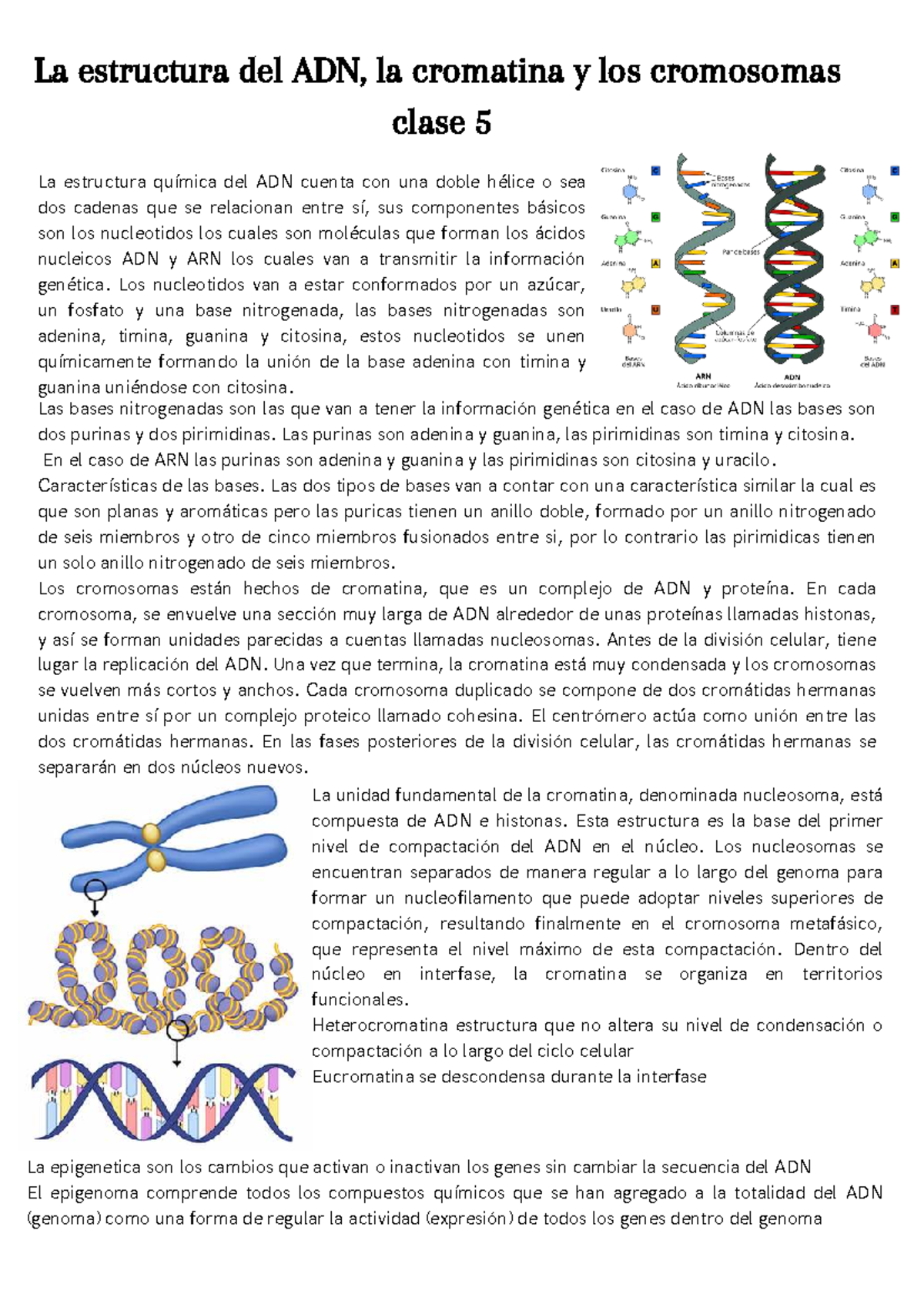 Estructura del ADN, Cromatina y Cromosomas - Clase 5 - Studocu