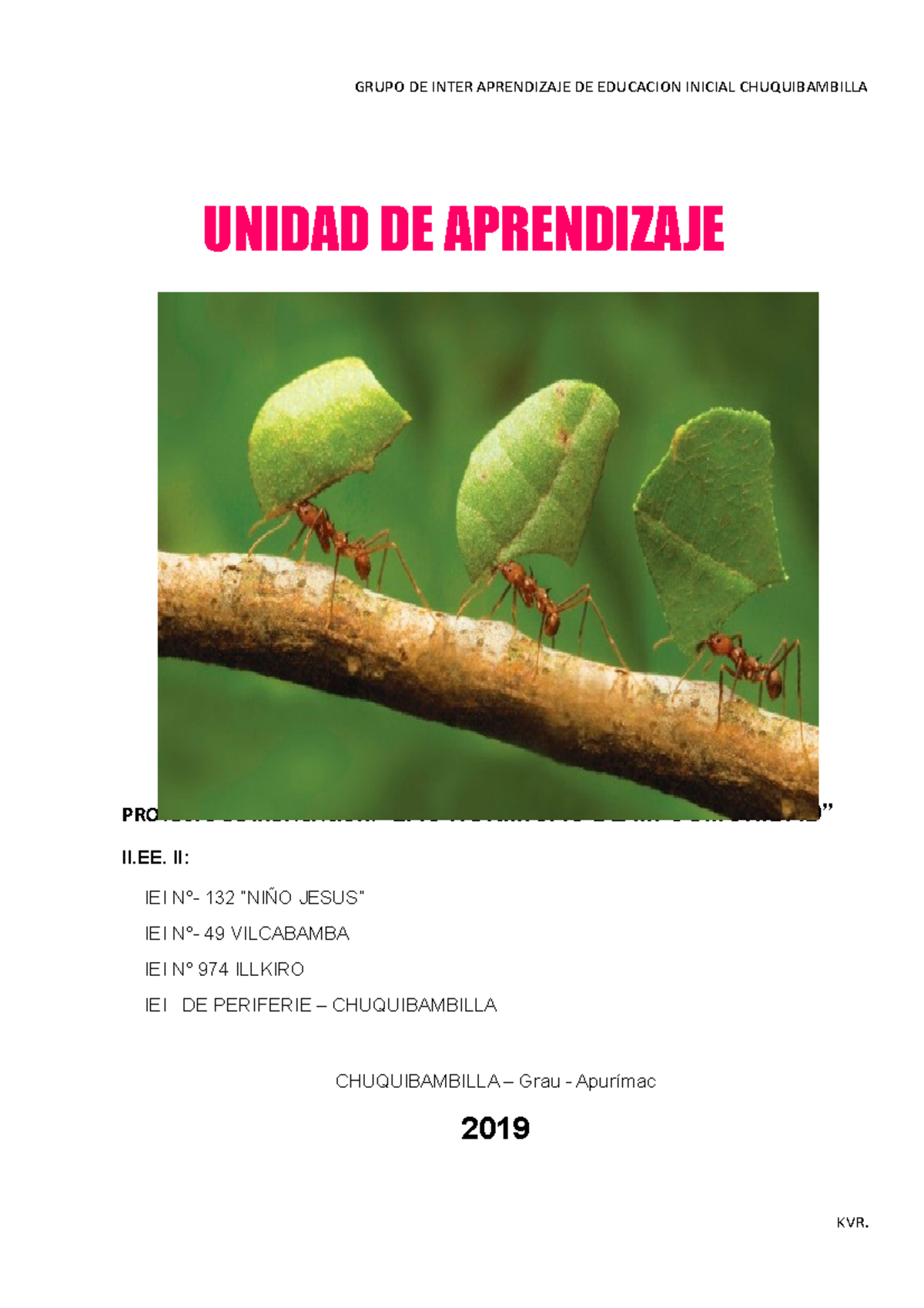 Proyecto DE Investigacion - PROYECTO DE INDAGACION: “LAS HORMIGAS DE MI ...