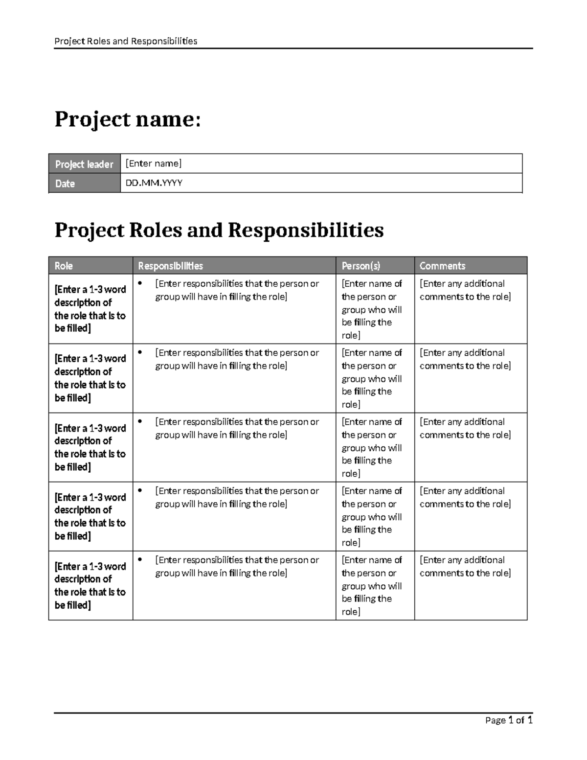 Project Roles & Responsibilities Overview - Template - Studocu