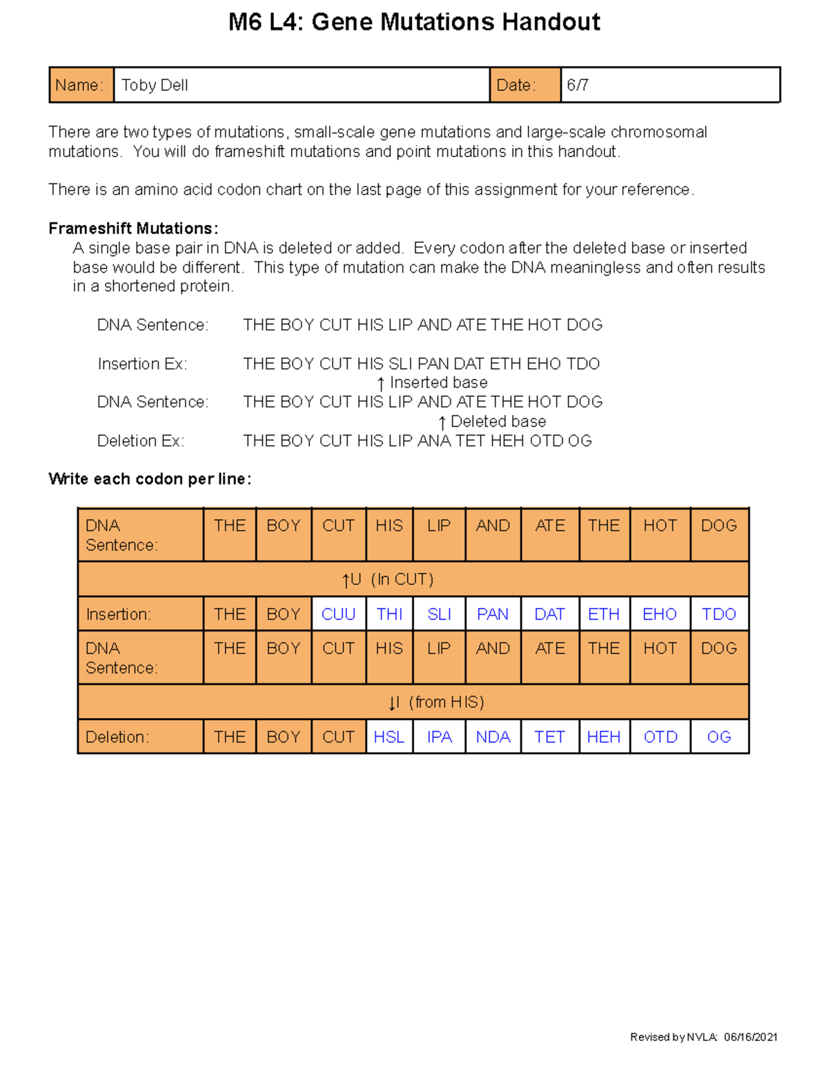 Copy of M6L4 Mutations Review - Name: Toby Dell Date: 6/ There are two types of mutations, - Studocu