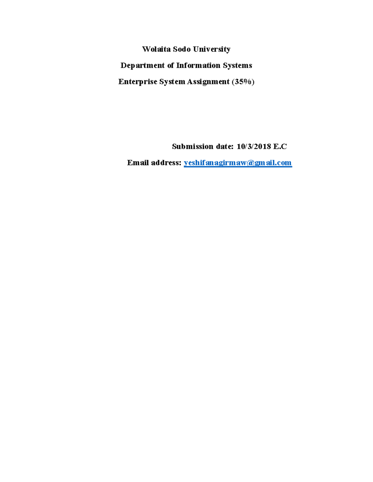 Enterprise System Group Assignment - ERP Concepts & Implementation ...