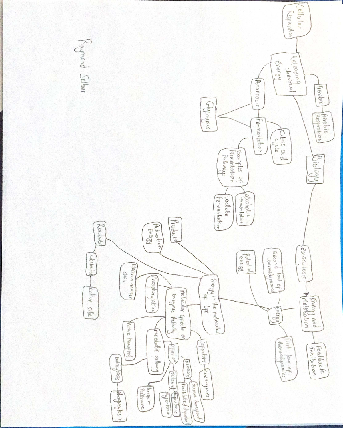 Concept Map 3: Cellular Respiration & Metabolism Overview - Studocu