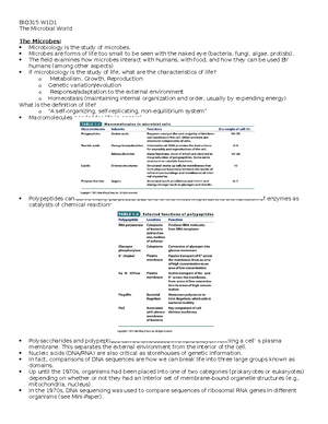 Blood - answer key for review sheet - NAME ...