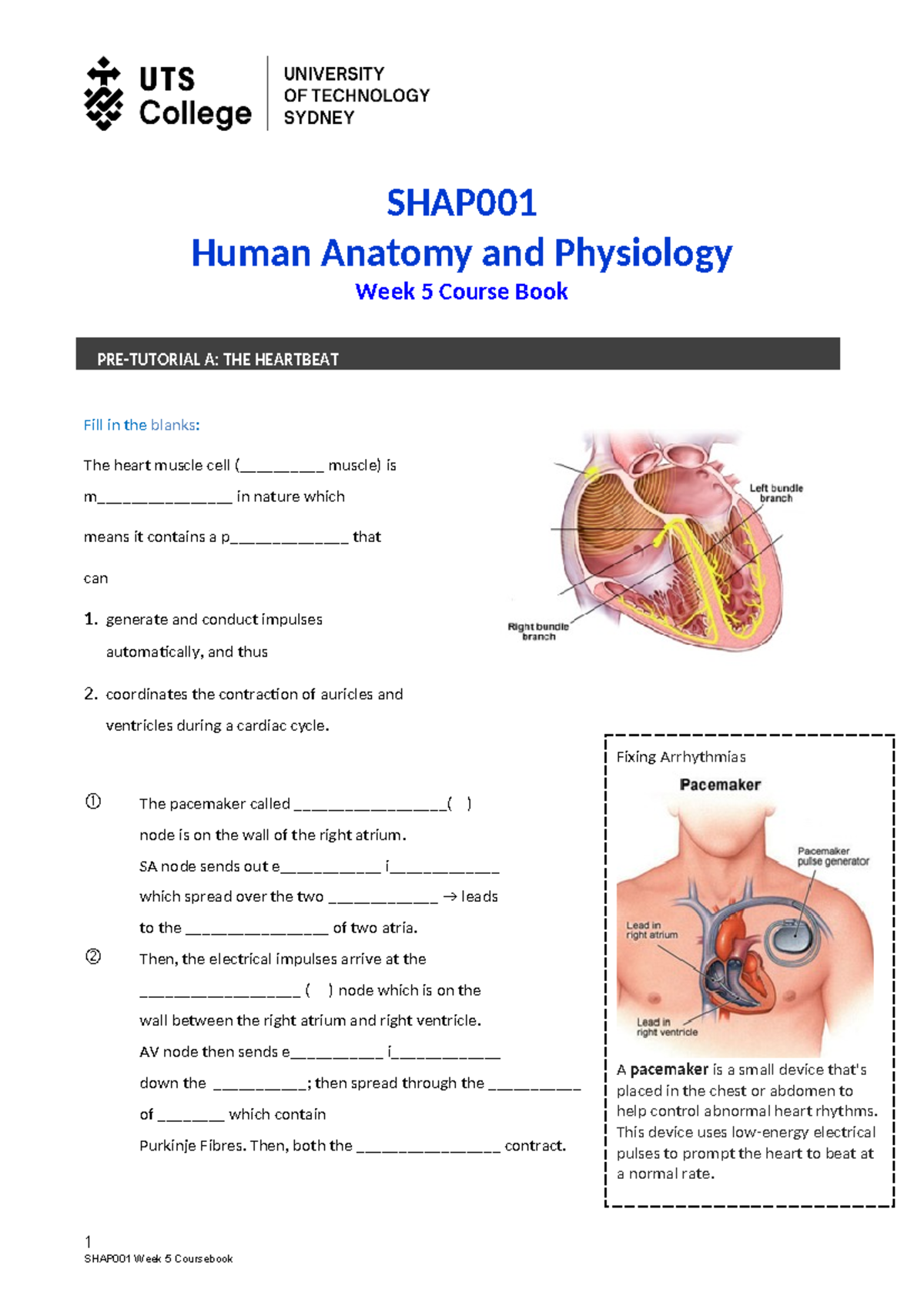 Week 5 Tutorial Notes: Understanding the Heart, ECG, and Nervous System ...