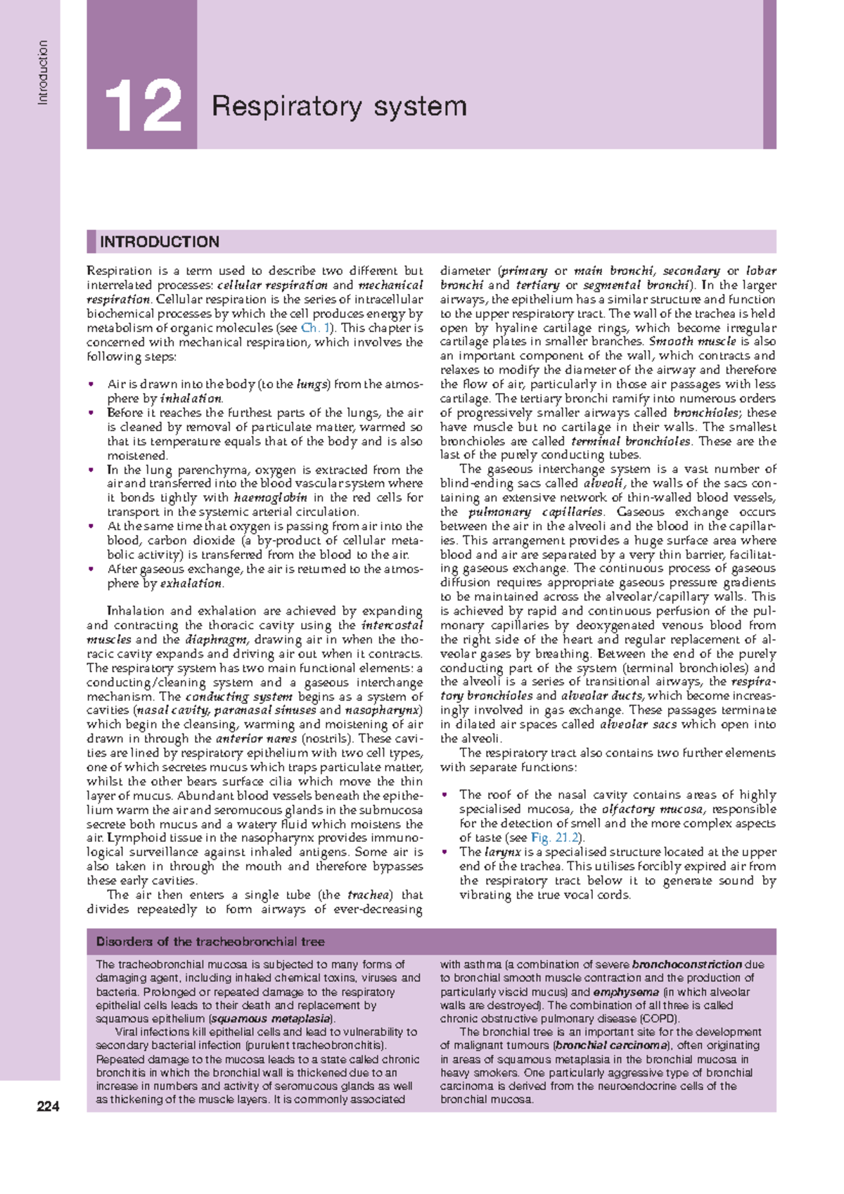 Respiratory System Overview - Chapter 12: Histology Insights - Studocu