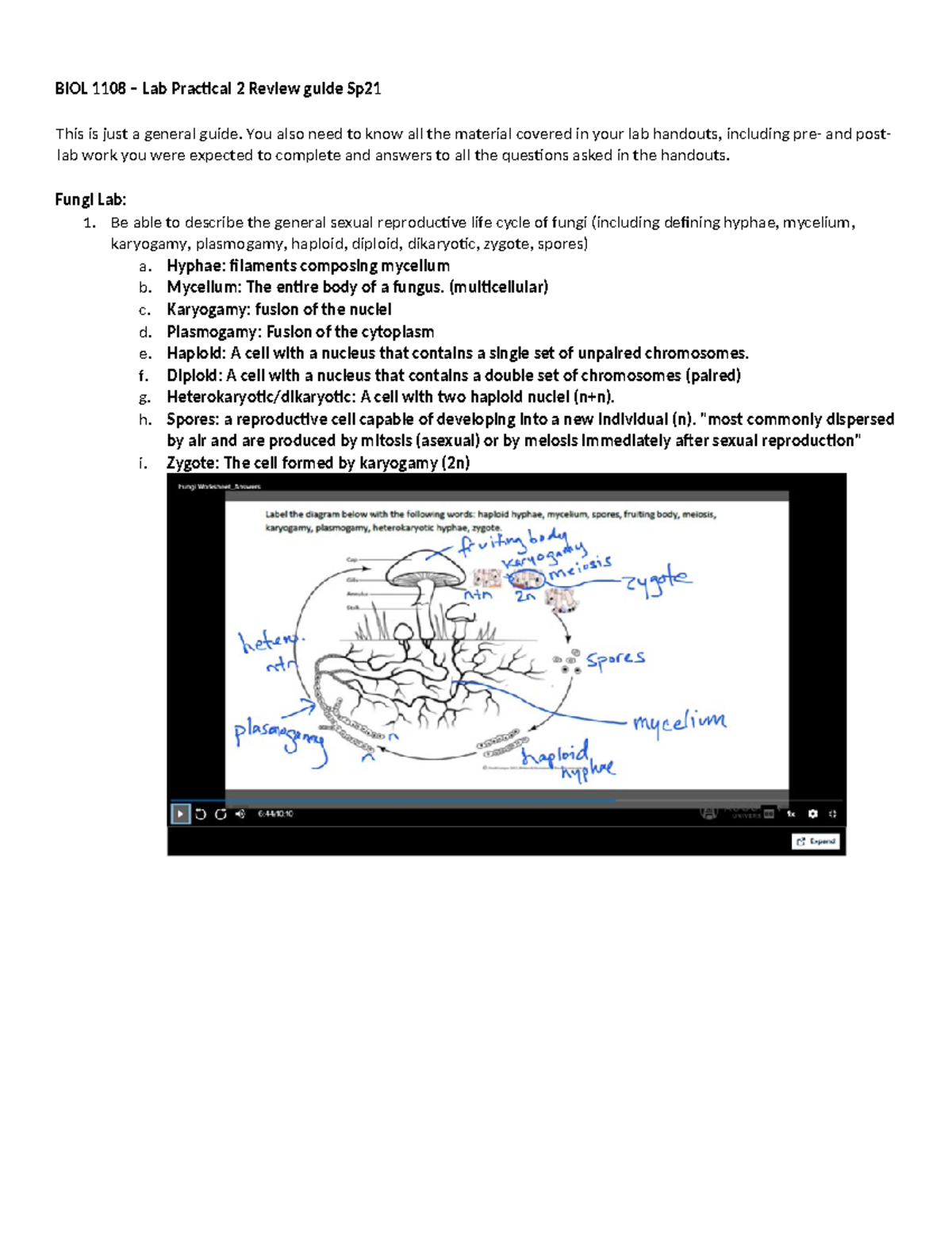 BIOL 1108 Lab Practical II Review Guide Sp21: Fungi & Animal Kingdom ...