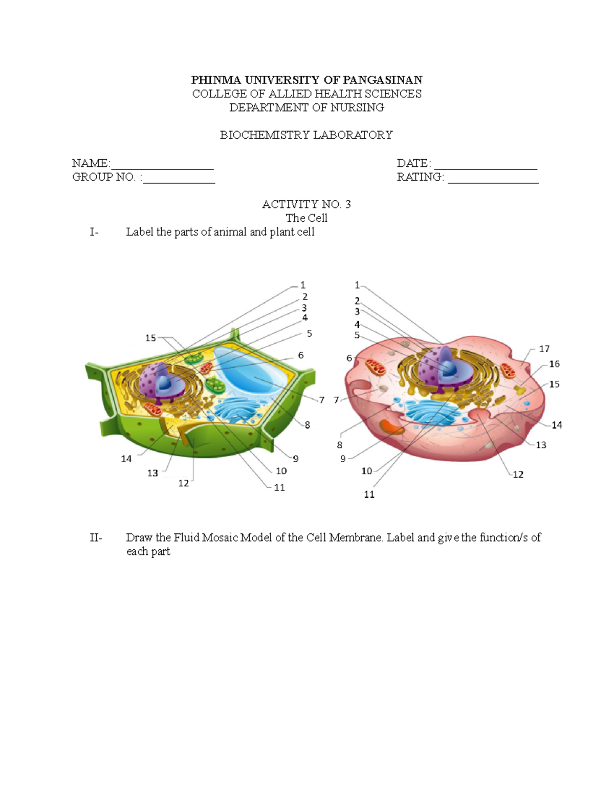 BIO 024 LAB Activity 3 THE Animal CELL - Biochemistry - PHINMA ...