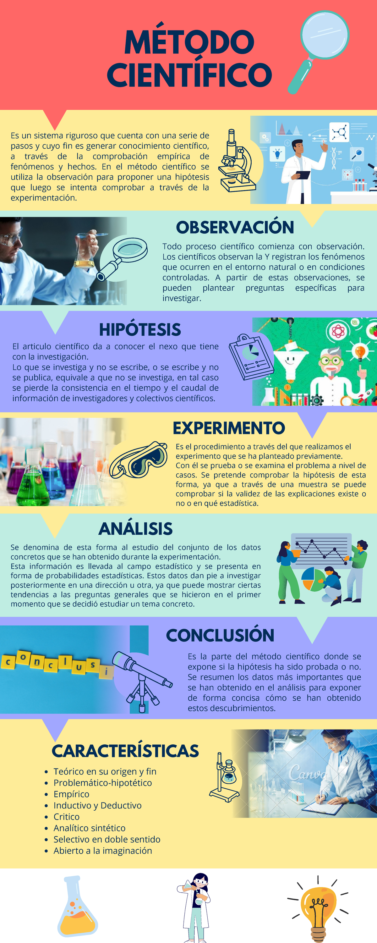 Forma Del Método Científico Qué Es El Método Científico: Pasos Y