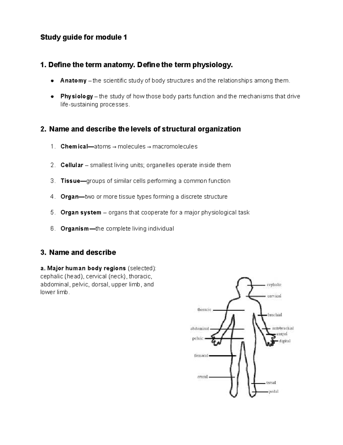 Study Guide for A&P - Module 1: Anatomy & Physiology Basics - Studocu