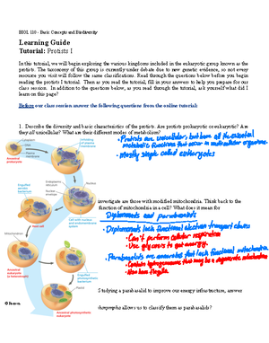 Pre Lab #10 Assignment - pre lab 10 - Pre-Laboratory #10 Assignment (5 ...