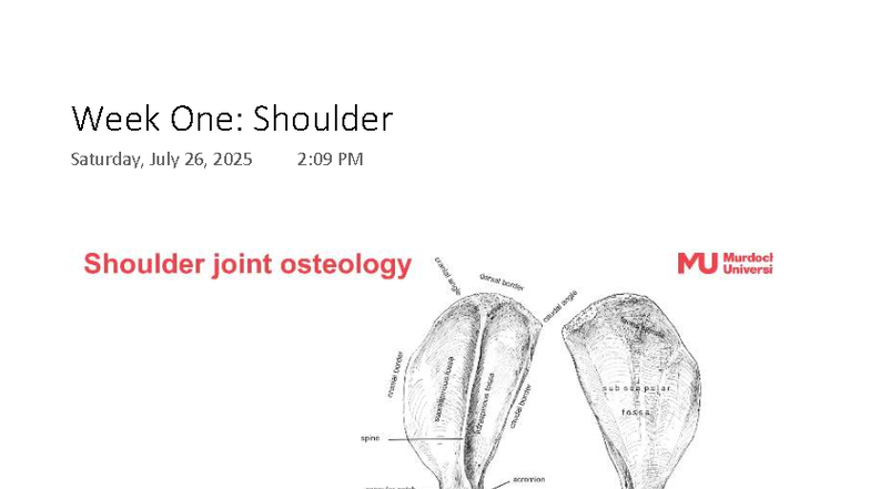 Week One: Shoulder Joint Anatomy - Lecture Notes - Studocu
