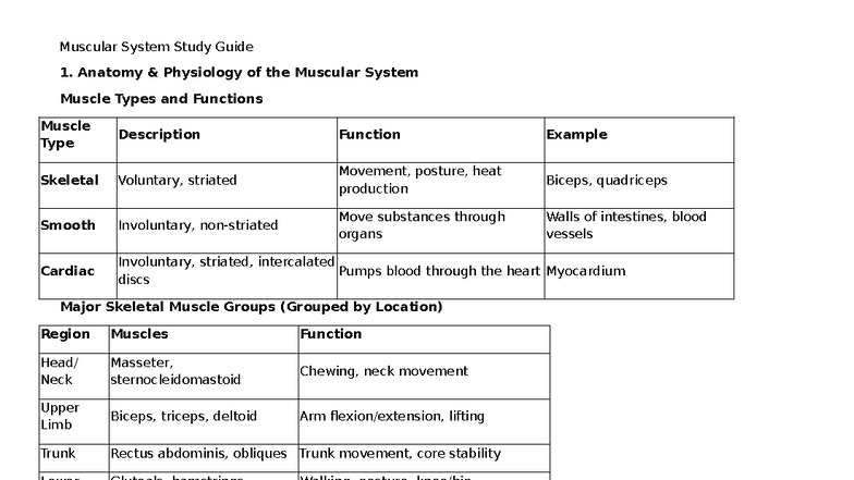Muscular System Study Guide: Anatomy, Functions, and Variations - Studocu