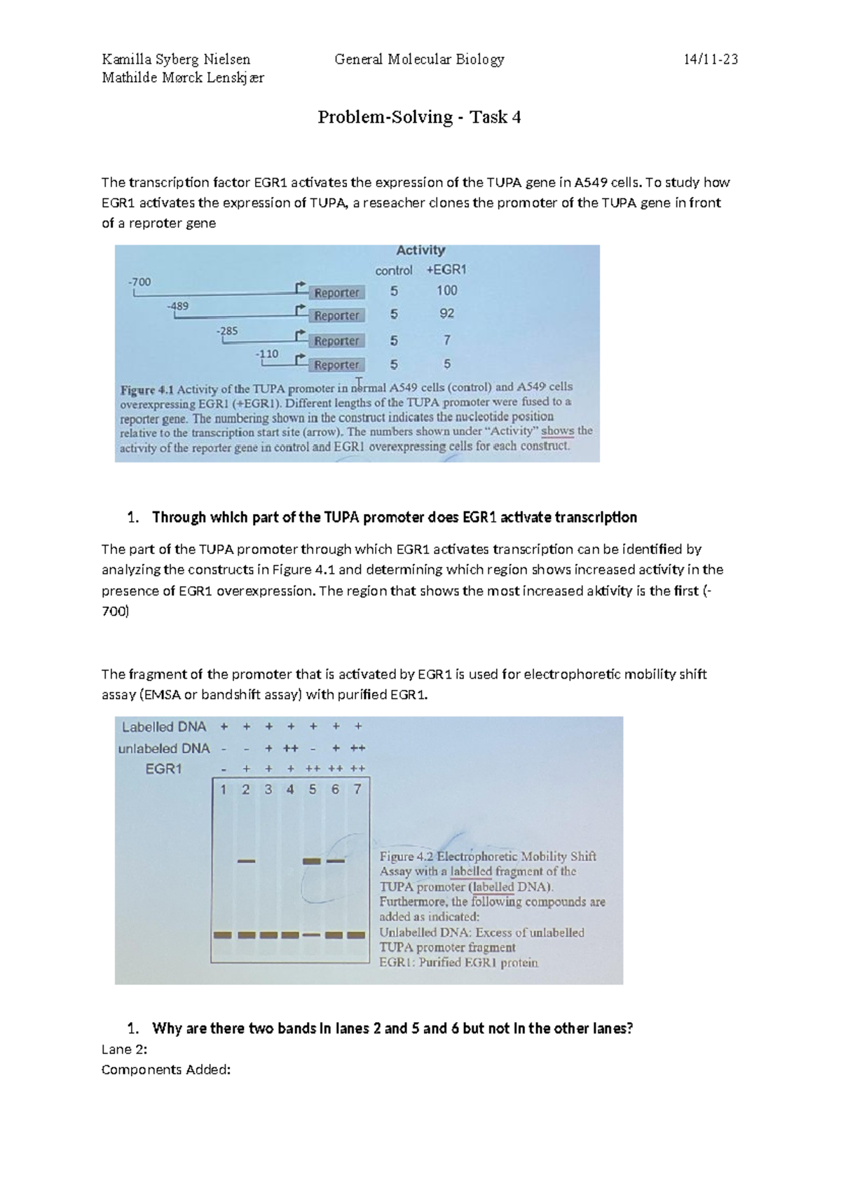 General Molecular Biology - Problem-Solving Task 4 Analysis - Studocu