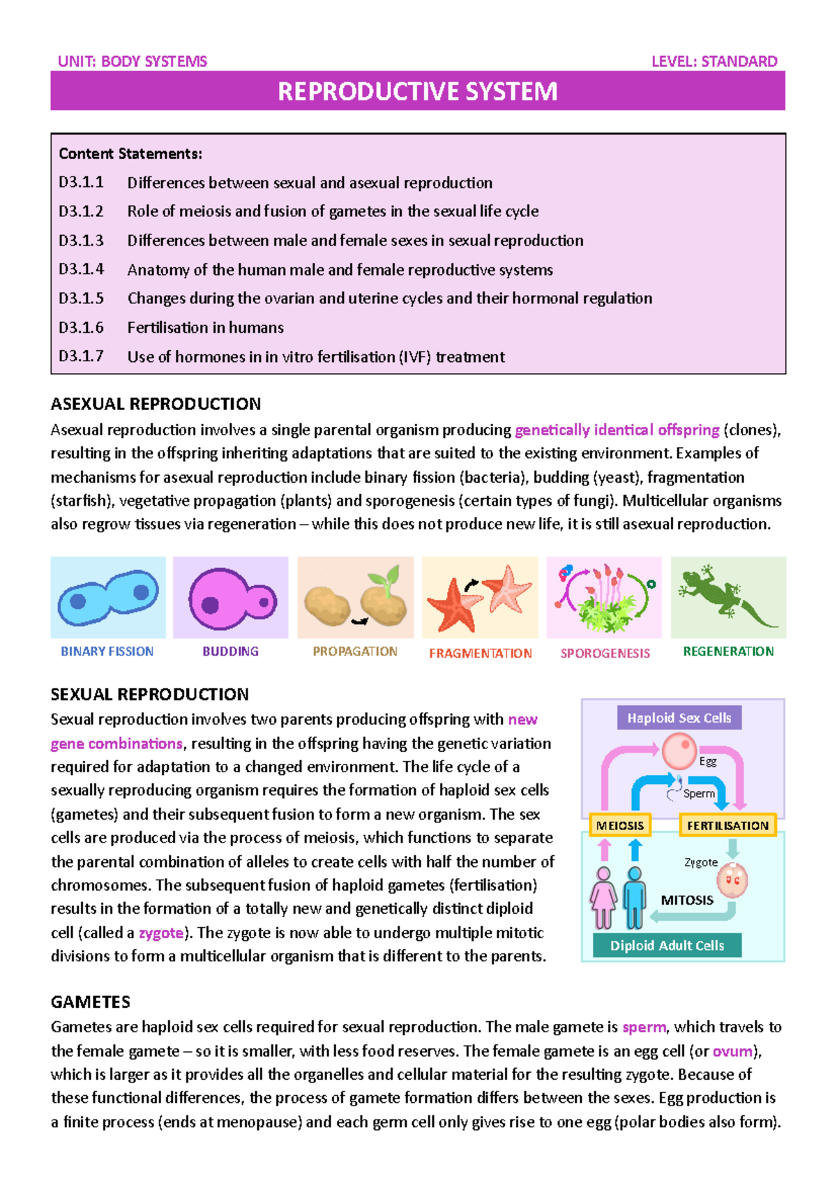7.5 Reproductive System - UNIT: BODY SYSTEMS LEVEL: STANDARD ...