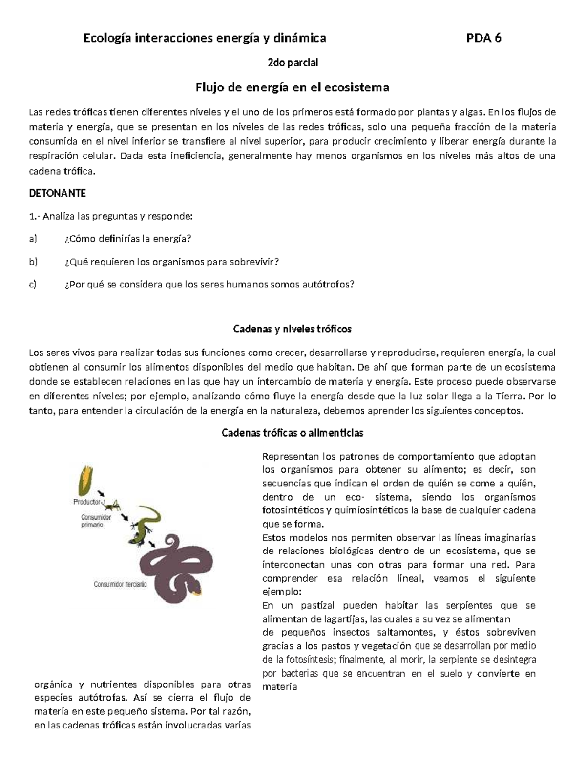 Ecología: Interacciones de Energía y Dinámica en Ecosistemas - PDA 6 ...